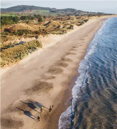 DAY TWO FORAGING & FINE ART - PressReader