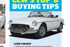 CCW’S TOP ‘B BUYING TIPS - PressReader