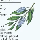 NANCY’S ‘PURE MAGIC’ RECIPE - PressReader