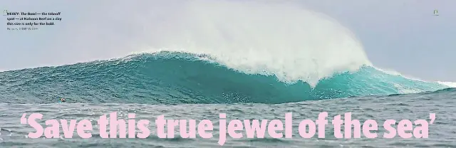 ‘Save this true jewel of the sea’ - PressReader