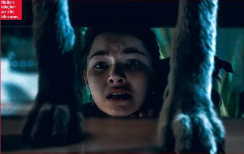 Night Howl - PressReader