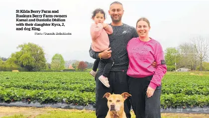 Berry farm opens for season - PressReader