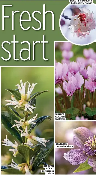 Fresh start With the new year nearly upon us, this is the perfect time to take stock and start ...