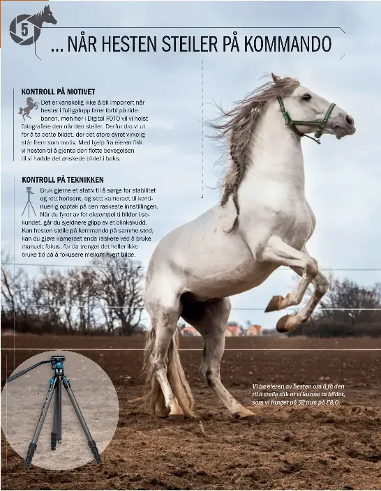 NÅR HESTEN STEILER PÅ KOMMANDO - PressReader