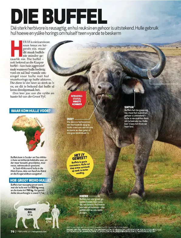 Die reusagtige buffel - PressReader