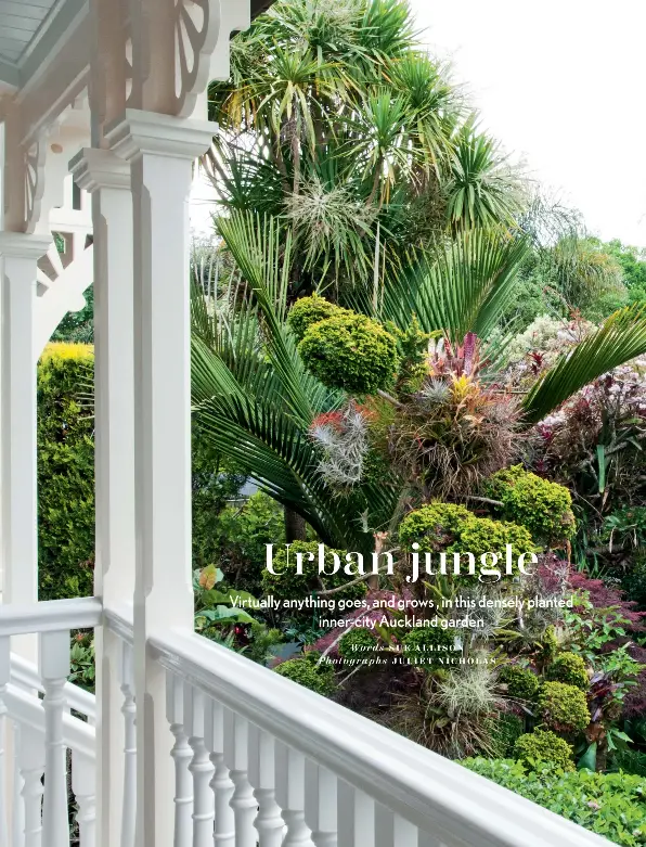 An inner-city Auckland garden where almost any plant is welcome ...