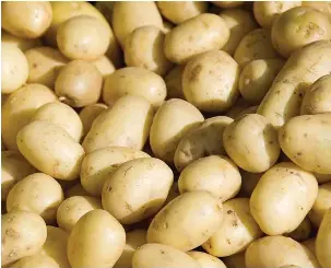 SORRY! NO FRIES - PressReader