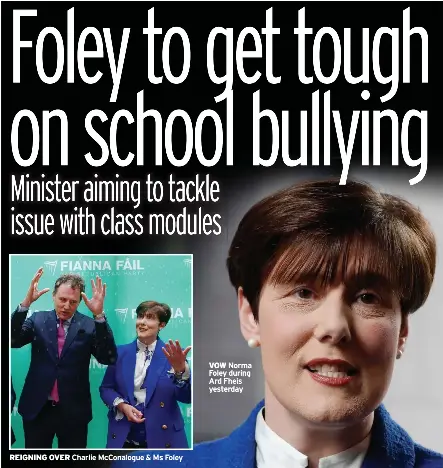 Foley to get tough on school bullying - PressReader