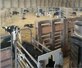 Appreciate what we have... - PressReader