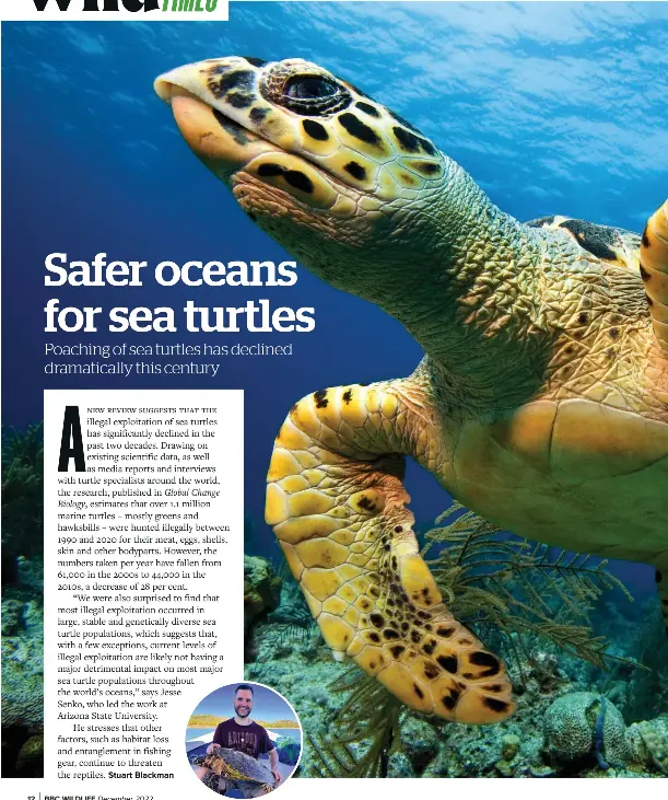 Safer oceans for sea turtles - PressReader