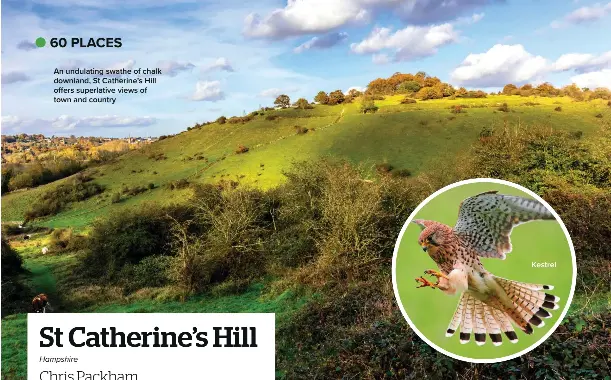 St Catherine’s Hill - PressReader