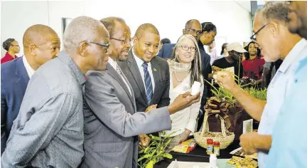 Jamaica to see US multimilli­on-dollar earnings from spice exports ...