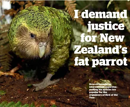 I demand justice for New Zealand’s fat parrot - PressReader