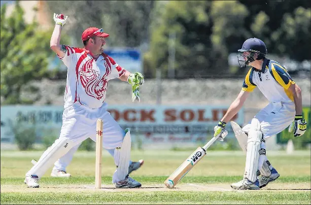 Rosin sticks to Dale to make Shaw thing of it - PressReader