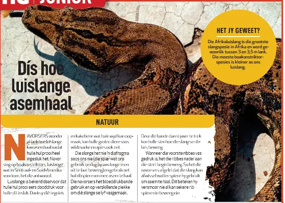 Dís hoe luislange asemhaal - PressReader