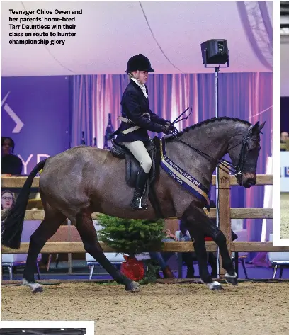 Dauntless is absolutely faultless - PressReader