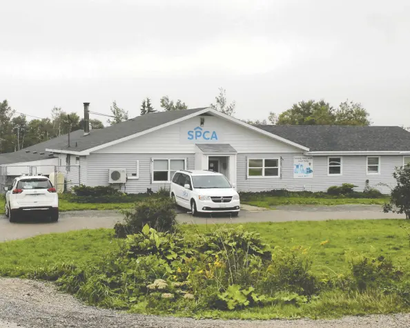 ON THE LOOSE - PressReader