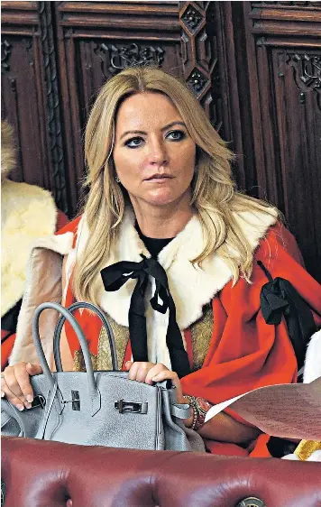 Tory peer to take leave to fight PPE allegation­s - PressReader