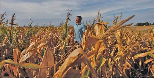 Agricultur­al producers count the cost of prolonged drought - PressReader