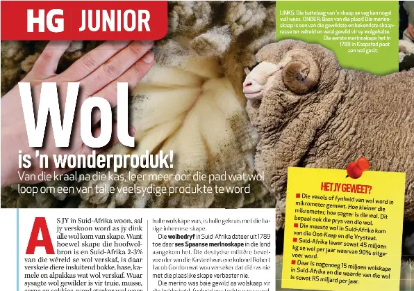 Alles oor wol - PressReader