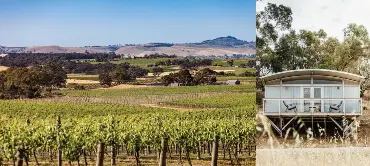 An epicurean adventure in the Barossa - PressReader