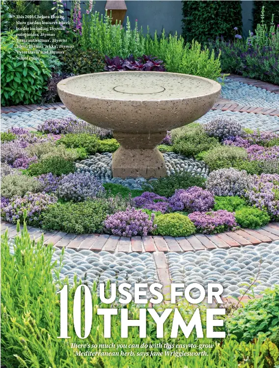 10 uses for thyme - PressReader
