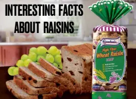INTERESTIN­G FACTS ABOUT RAISINS - PressReader