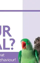 WHAT’S YOUR SPIRIT ANIMAL? - PressReader