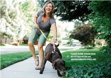 ‹Better pets - PressReader