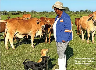 Sibanda treads uncharted territory of global leadership - PressReader