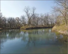 New woods to wander for visitors at Logan Springs Preserve - PressReader