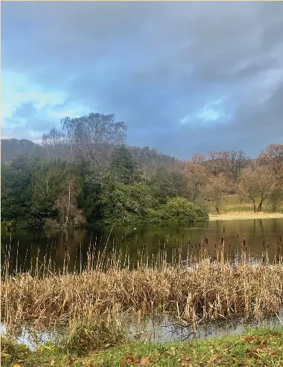 Tribunal judgment must spark workplace change - PressReader