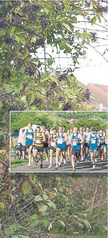 Obinna-Alo and McQue gunning for English Schools’ glory - PressReader