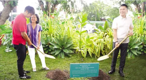 PLANTING HER ROOTS: A Bitaog tree, the First Lady Liza AranetaMar­cos ...