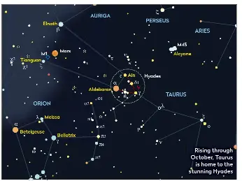 Taurus, the Bull - PressReader