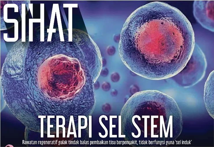 TERAPI SEL STEM - PressReader