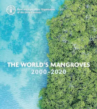 New study provides insights into mangrove conservati­on - PressReader