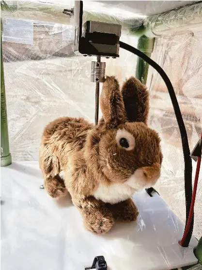 Task for robot bunny - PressReader