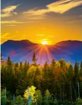 It’s not up to you - PressReader