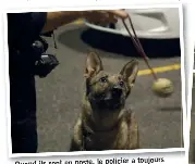 Unité canine: une série qui a du chien et qui fait du bien! - PressReader