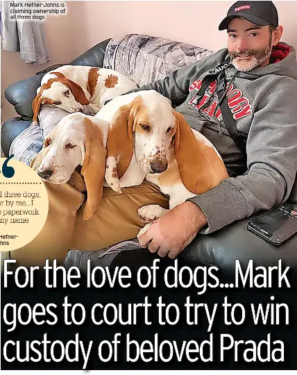 For the love of dogs...Mark goes to court to try to win custody of ...