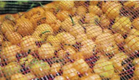 Spur Tree seeks $353m in IPO - PressReader