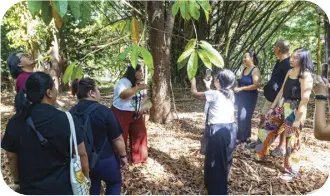Where to go for native tree walks in Metro Manila - PressReader