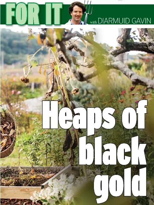 Heaps of black gold - PressReader