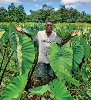 Hard Work and Honesty Key, says Nawalu - PressReader