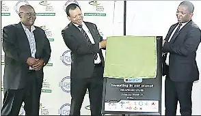 EEC sees silver lining in heavy rains - PressReader