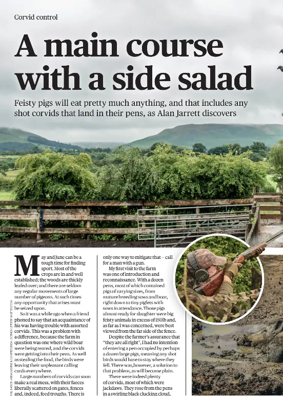A main course with a side salad - PressReader