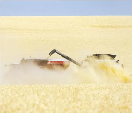 Producers ask railways for more details about shipping harvest - PressReader