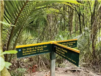 Hemi Matenga Scenice Reserve - PressReader