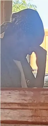 FIRST WIFE IN COURT TO DEMAND EQUAL STATUS - PressReader